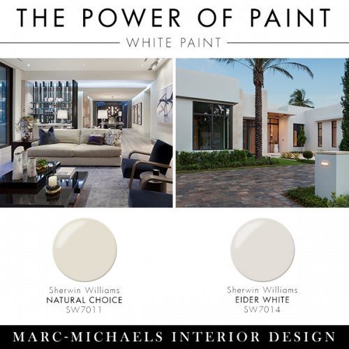 Discover the Power of White Paint | Learn About White Paint